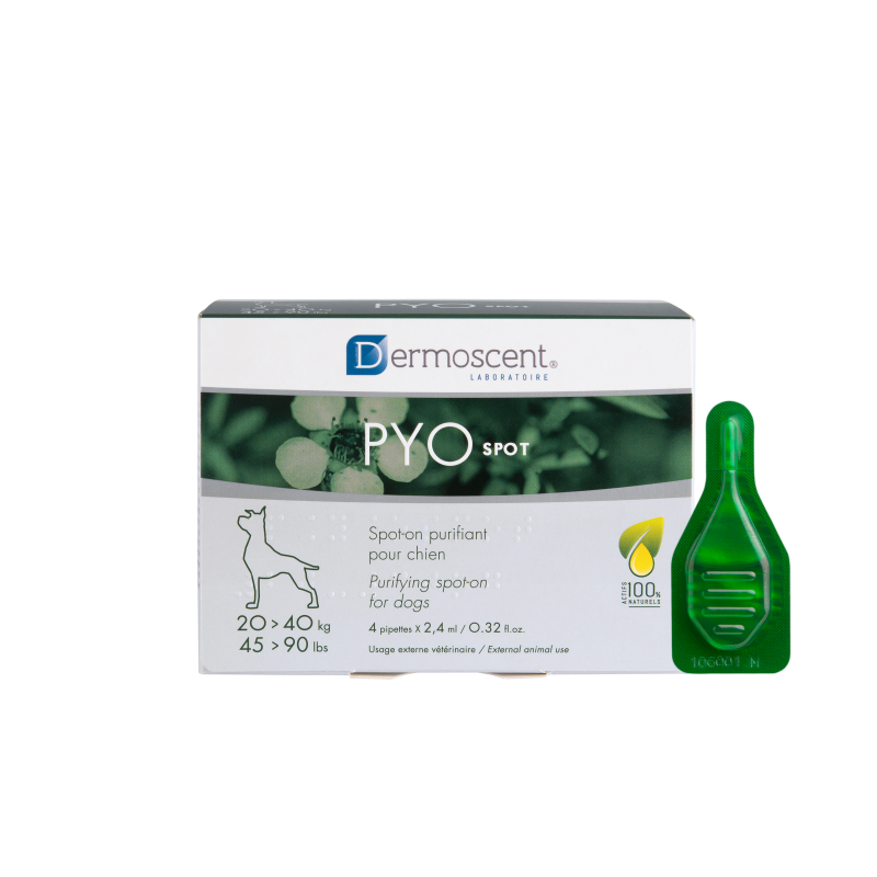 Dermoscent Pyospot Chien
