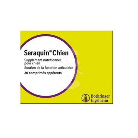 Seraquin Chien